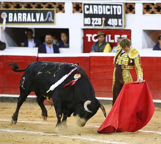 El Payo, Torero las 24 hrs del día – DE SOL Y SOMBRA