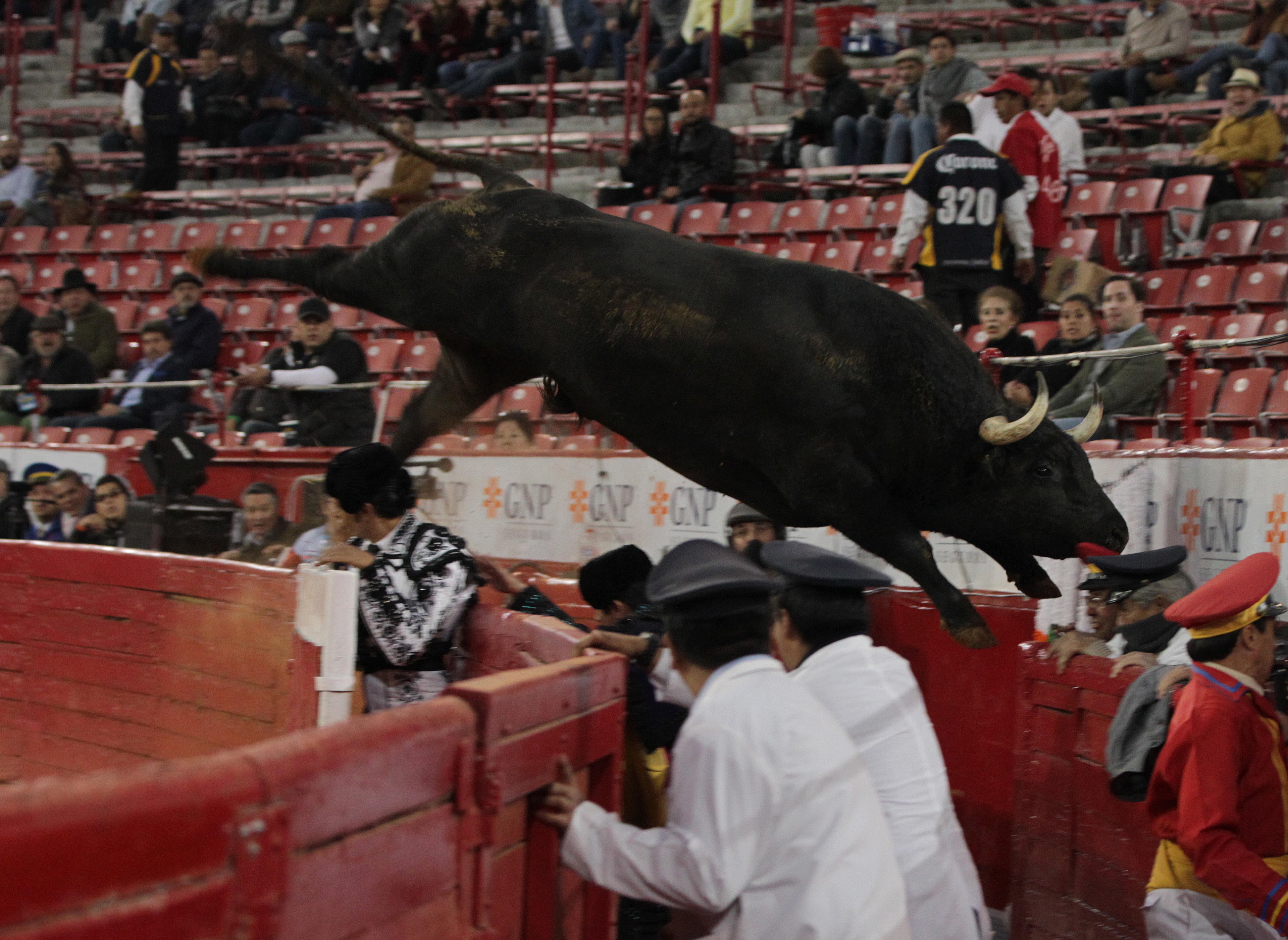 Tendido 7: No, ¡mejor pensemos que sí! – DE SOL Y SOMBRA
