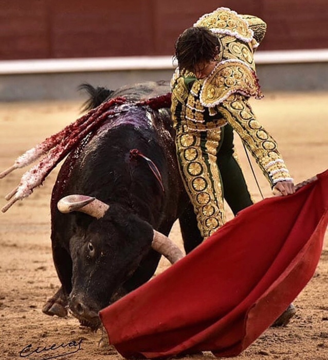 Un Sublime Roca Rey: Así vio la prensa su actuación en Las Ventas… – DE ...