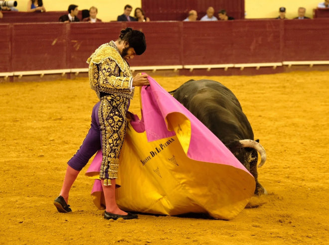 La esencia de Curro en Campo Pequeño – DE SOL Y SOMBRA