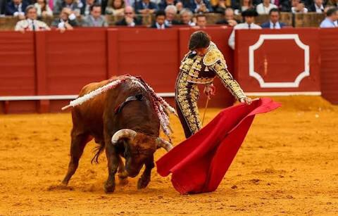 El recuadro: El virrey perulero – DE SOL Y SOMBRA