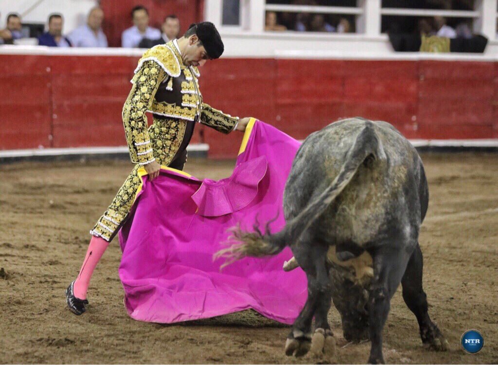 ¿La Fiesta en Paz?: ¿El problema son los toreros? – DE SOL Y SOMBRA