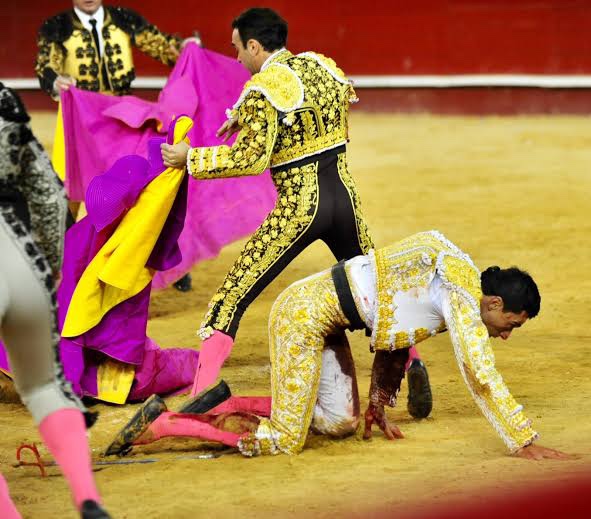 «El torero no tiene más verdadera vida que la del peligro» – DE SOL Y ...