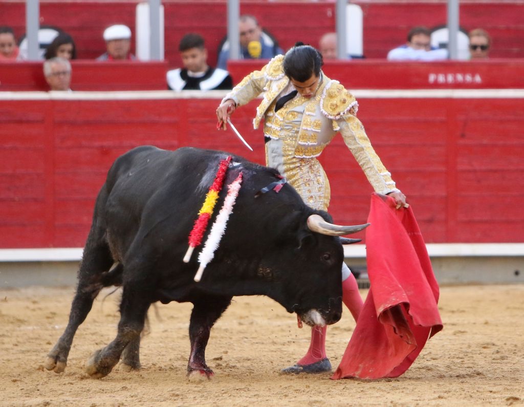 Los novilleros y su importancia. – DE SOL Y SOMBRA