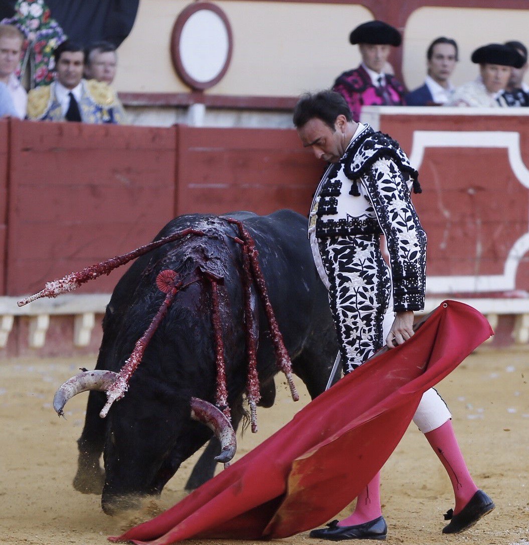 “El toreo es mi vida”: Enrique Ponce. – DE SOL Y SOMBRA