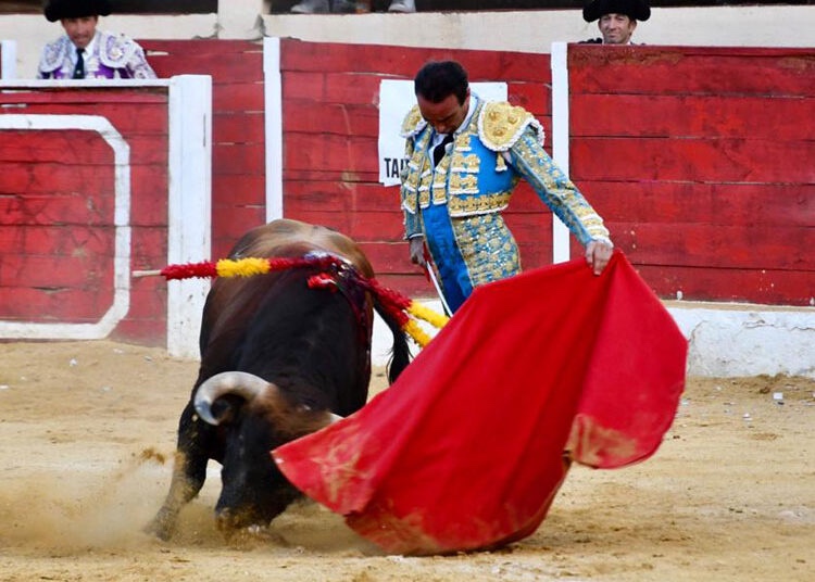 La tendencia actual del toreo es preocupante: Menos seria, menos limpia ...