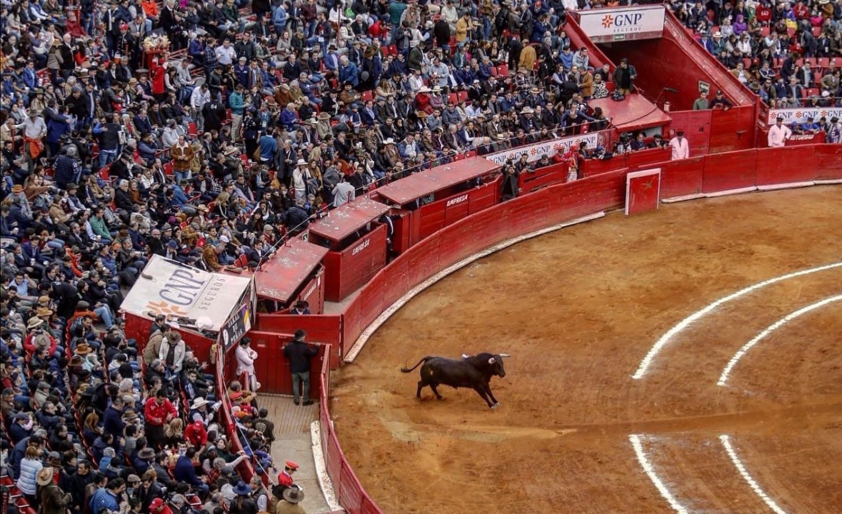 Las corridas de toros vuelven a la Plaza México. – DE SOL Y SOMBRA