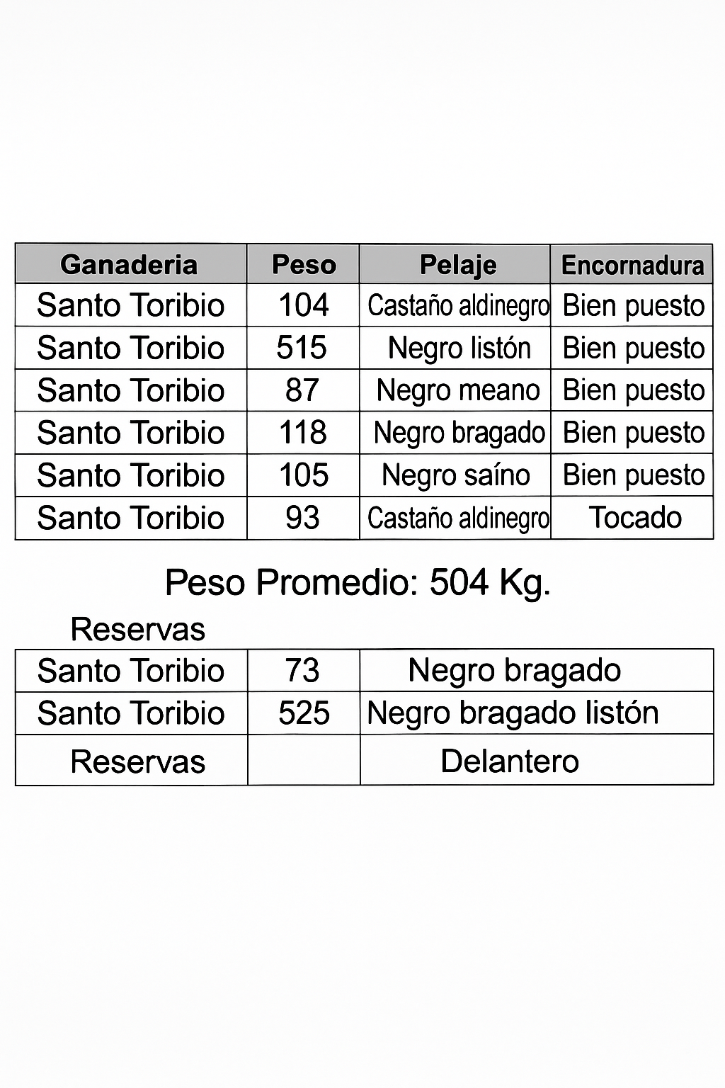 5a1d0024-5aef-41dd-87fe-ce980feaf6d8 – DE SOL Y SOMBRA